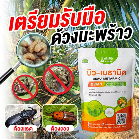 บิว เมธามิค คือคำตอบสำหรับสวนมะพร้าวที่ต้องการการดูแลเป็นพิเศษ กำจัดด้วงได้ตรงจุด ผลผลิตดีขึ้น