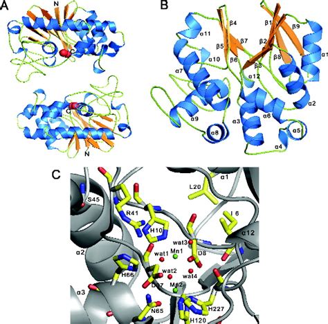 Proteins Structure Function And Bioinformatics Journal Abbreviation At