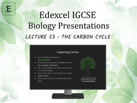 Edexcel Igcse Biology Lecture 53 The Carbon Cycle Teaching Resources