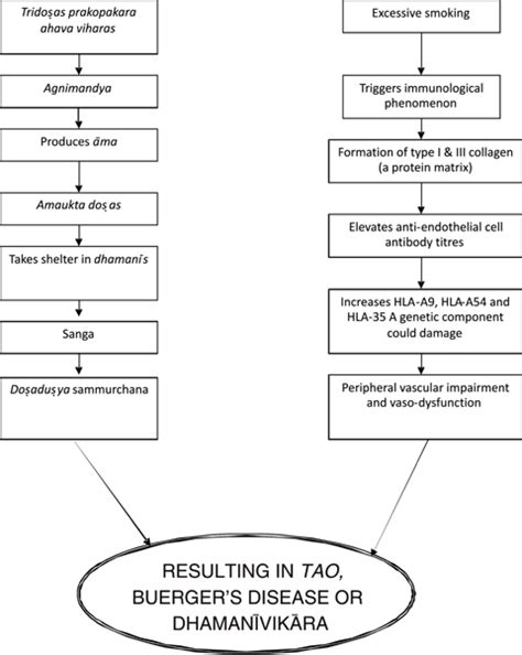 An Overview Of Buergers Disease Thrombo Angitis Obliterans In