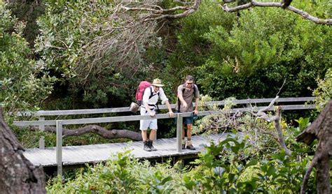 Wilsons Headland Walking Track Nsw National Parks