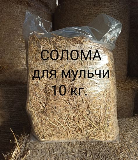 Солома Овсяная кипа в пакете 10-12 кг самовывоз посёлок Аннино Садовая ...