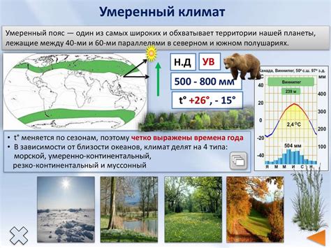 Климатические пояса мира презентация онлайн