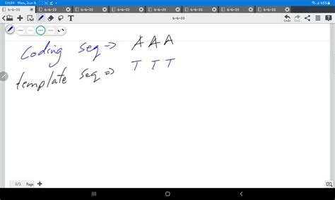 Solved A Particular Triplet Of Bases In The Coding Sequence Of Dna Is