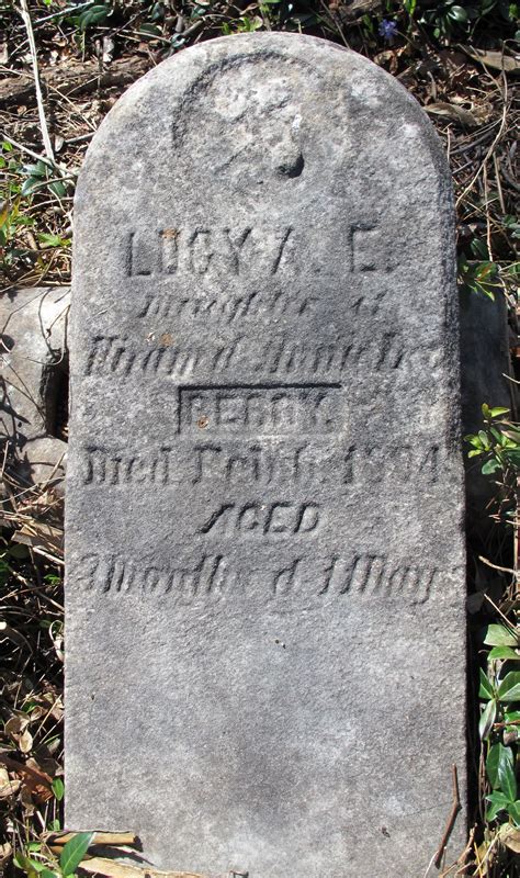 Lucy A Berry 1893 1894 Find A Grave Memorial