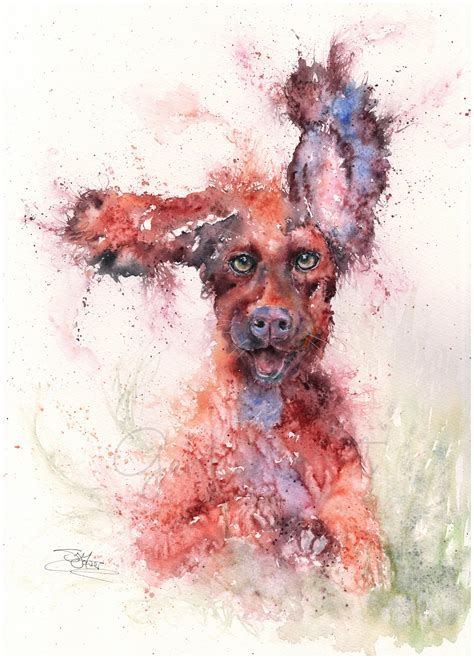 Spaniel Original Watercolour Painting Wildlife Artist Sandi Mower