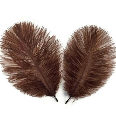 Ostrich Feathers Decor