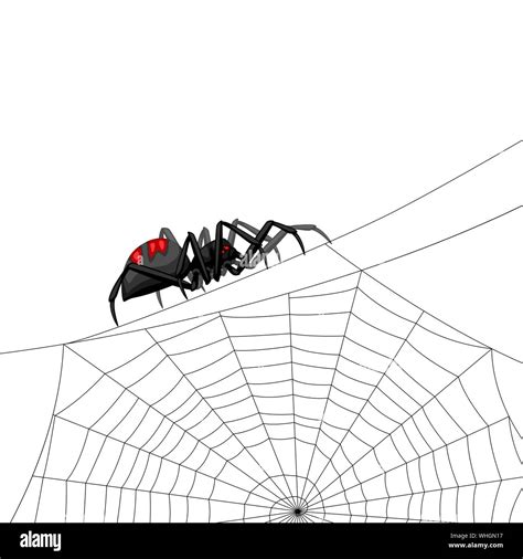 Background With Black Widow Spider Stock Vector Image And Art Alamy