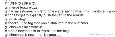 Git 代码分支管理 Toy模板网