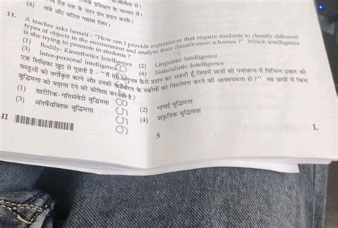 11 4 A A Teacher Asks Bes Types Of Objects StudyX