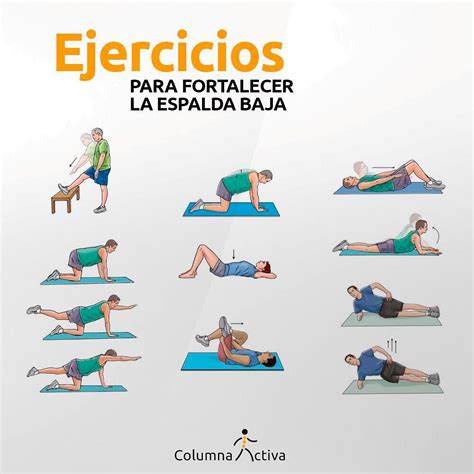 Ejercicios Para La Espalda Ejercicios Para Fortalecer La Espalda