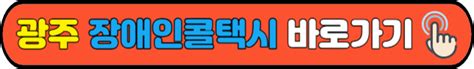 대전시 장애인 콜택시 교통약자 이동지원센터 이용요금 이용방법 총정리