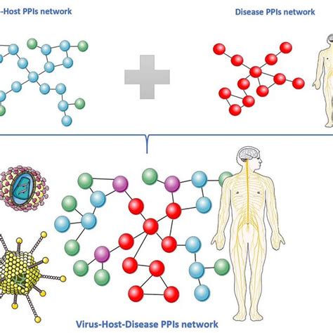 Schematic Representation Of The Construction Of The Integrated Download Scientific Diagram