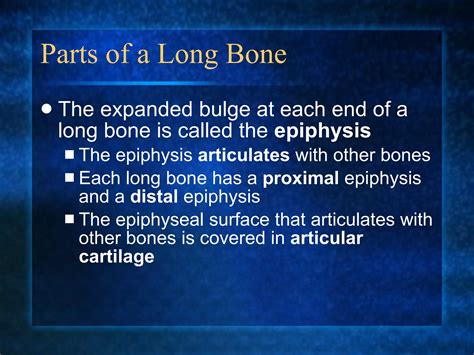 Bone Function Andformation2009 Ppt