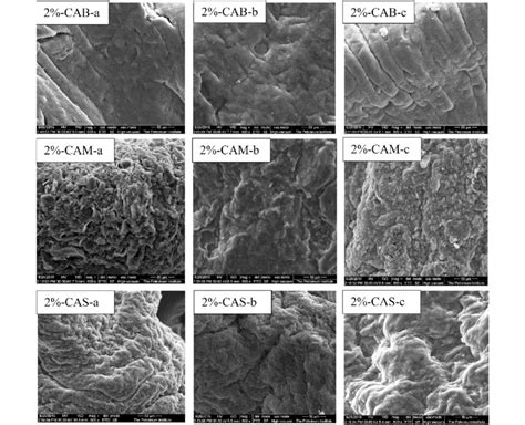 Sem Micrographs Of Na B Na M And Na S Clay And Various Cah