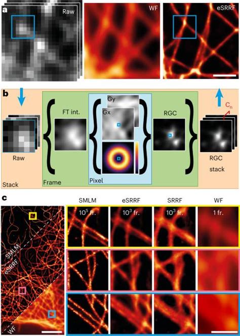 Ken Seidenman On Linkedin High Fidelity 3d Live Cell Nanoscopy Through Data Driven Enhanced…