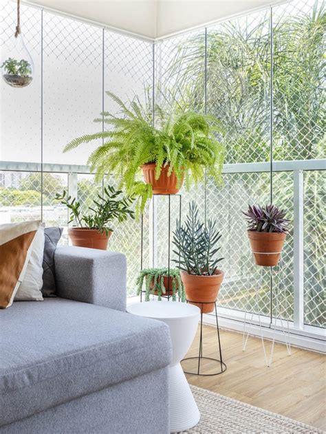 Plantas Recomendadas Para Decoração De Varandas Mania De Plantas