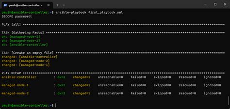 adding roles to our playbook server academy
