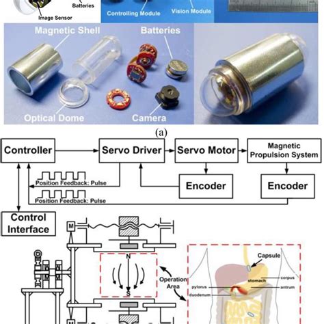 Pdf Design And Fabrication Of A Magnetic Propulsion System For Self Propelled Capsule Endoscope