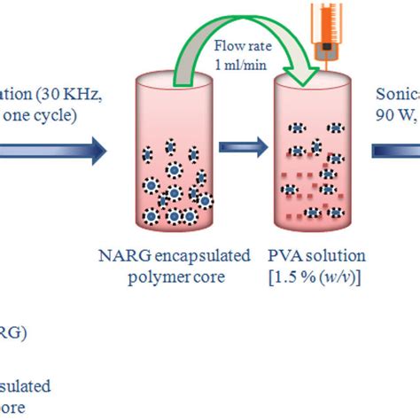 Schematic Illustration Of Narg Nps Fabrication By Download Scientific Diagram