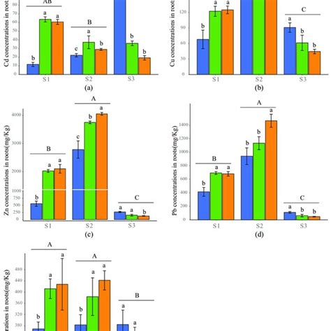 Hm Concentrations Of Cd A Cu B Zn C Pbd And As E In R