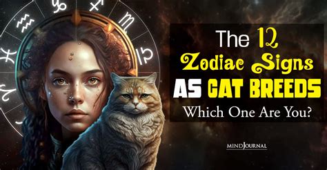 What Cat Are You Based On Your Zodiac Sign 60 Photos