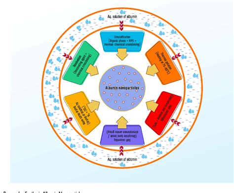 Figure 4 From Factors Affecting The Synthesis Of Bovine Serum Albumin