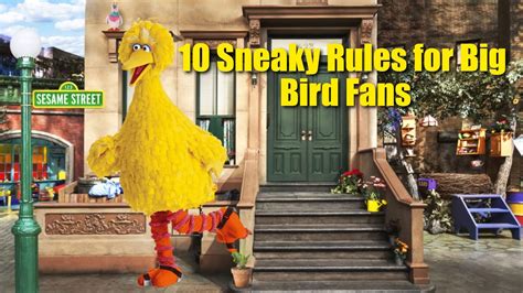 Sesame Street Big Bird Hide And Seek Sneaky Rules For Big Bird Fans YouTube