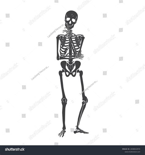 Skeleton Thinking Poses Over Royalty Free Licensable Stock Illustrations Drawings