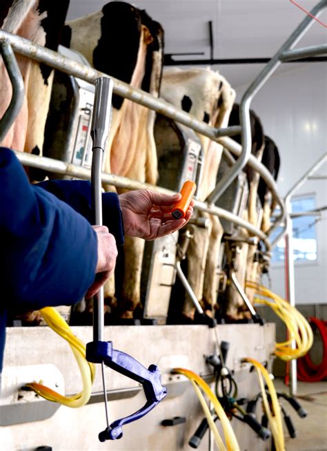 Automating Dairy Cattle Health Monitoring From The Inside Farmtario