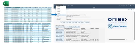 Sap Data Modeler Working With Prepackaged Entities Excel