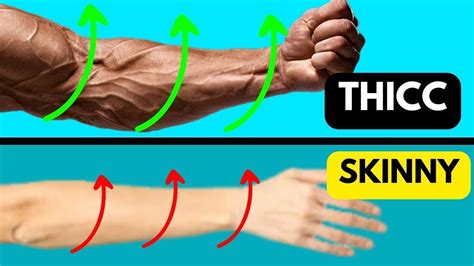 The Best Forearm Workout Youtube