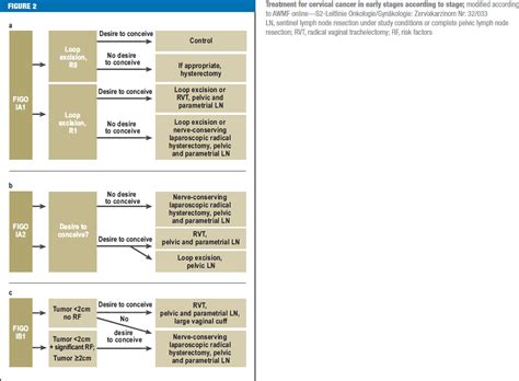 Radical Vaginal Trachelectomy 26 04 2013
