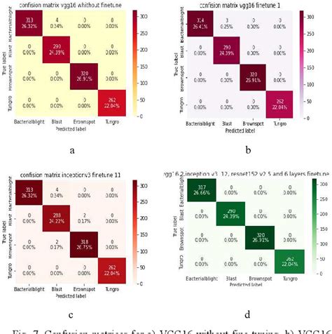 Figure 1 From Classification Of Rice Leaf Diseases Using CNN Based Pre Trained Models And