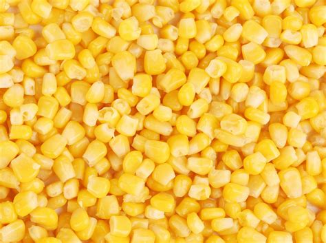 50 Kandy Korn Corn Sweet Yellow Corn Red Husk Hse Zea Mays Vegetabl