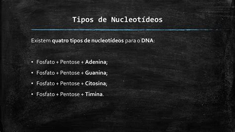 Cantinho Da Biologia Slides Ácidos Nucleicos