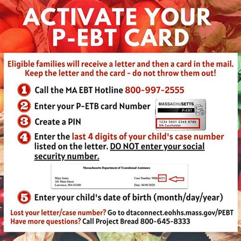 Free Admission With Ebt Card 2024 Ct Trudy Ingaberg
