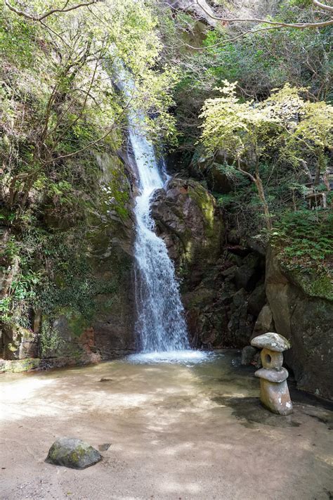 和歌山県田辺市地元ライターおすすめ自然を満喫できる紅葉スポット