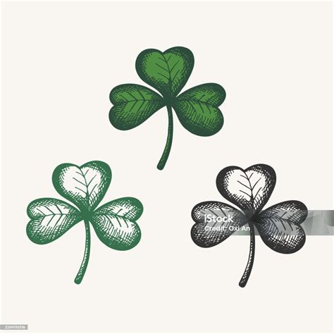 클로버는 성 패트릭의 날을 위해 거짓말을합니다 손으로 그린 벡터 스케치 새겨진 토끼풀 녹색 식물 세트 성 패트릭 아일랜드 축제 디자인 전단지 카드 종이 직물 포장 기호 로고