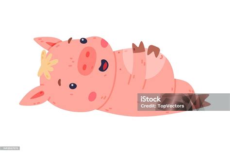 전체 배꼽 벡터 그림으로 누워 발굽이 있는 재미있는 핑크 돼지 캐릭터 가득 찬에 대한 스톡 벡터 아트 및 기타 이미지 가득