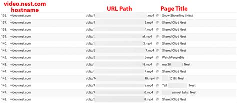 Dataspii A Global Catastrophic Data Leak Via Browser Extensions