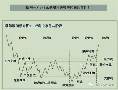 盲目抄底？活该你成不了市场赢家 威科夫操盘法揭秘对冲基金不愿公开的交易策略，享华尔街大师成功驾驭市场超过95年的秘技。教你不再盲目抄底，根据吸