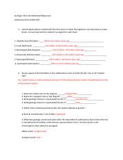 Geologic Time Lab Worksheet Responses Docx Geologic Time Lab Worksheet Responses Gianfranco Da