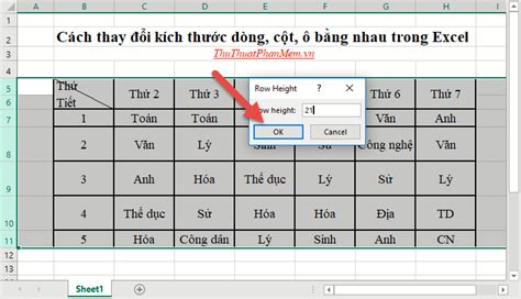 How To Change The Size Of Rows Columns Cells Equally In