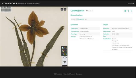 figure 1 from accelerating digitisation of biological collections for
