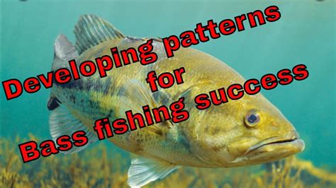 Developing Patterns For Bass Fishing Success Youtube