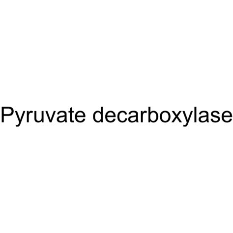 Pyruvate Decarboxylase Cas 9001 04 1 Abmole Bioscience Pyruvate