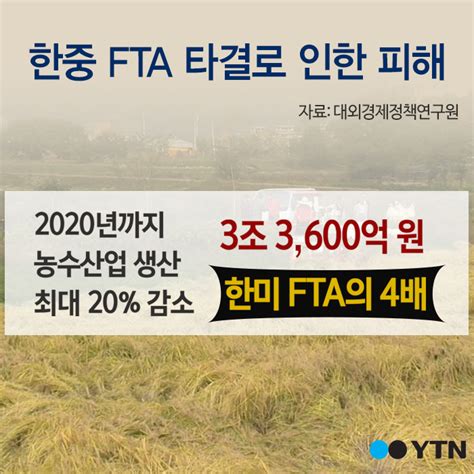 경제 한컷 한중 Fta가 우리 경제에 미치는 영향은 Ytn