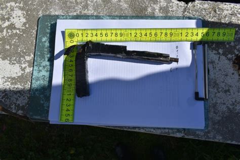 Susto En Una Escuela De Chubut Un Chico De 13 Años Fue A Clases Con Un Arma “tumbera” Infobae