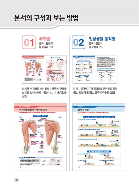 알라딘 미리보기 한눈에 보는 근육 관절의 기능해부학